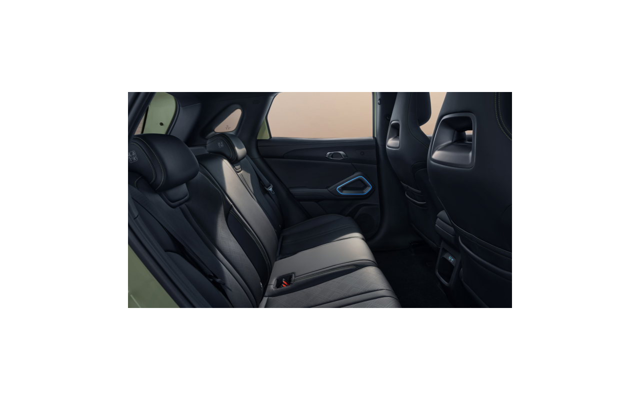 BYD ATTO 2 Boost (2025) szary 8891 - Wynajem długoterminowy - Car Lease ...