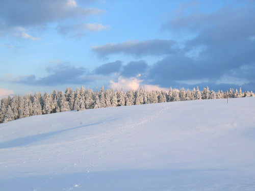 wakupaas_022 – Twentse Radio Modelvliegtuig Club