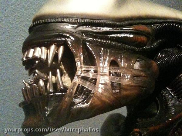YourProps