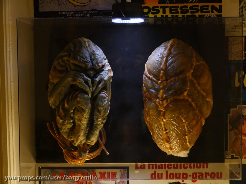 YourProps